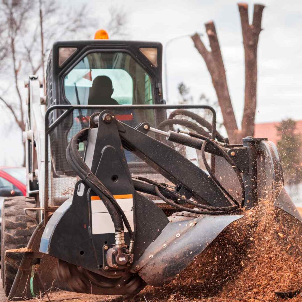 Home - M.P.R Tree Enterprises